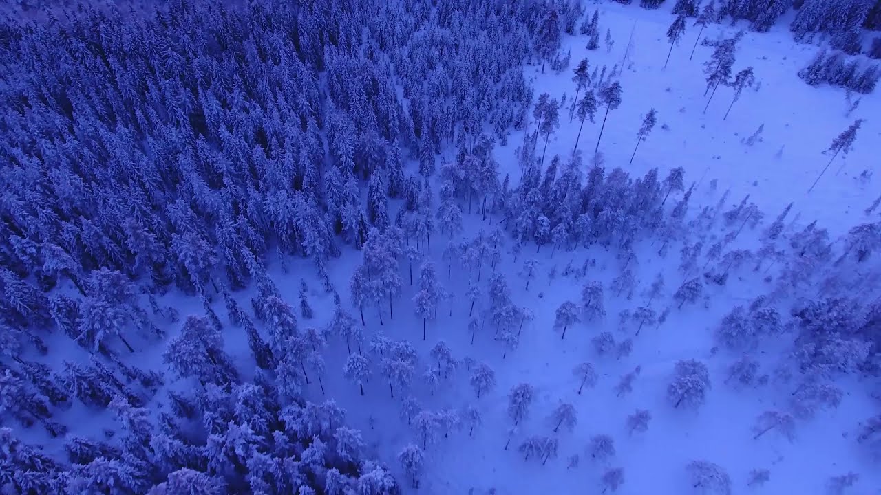 Beautiful Relaxing music with Chill Nature winter scene, Calming music ...
