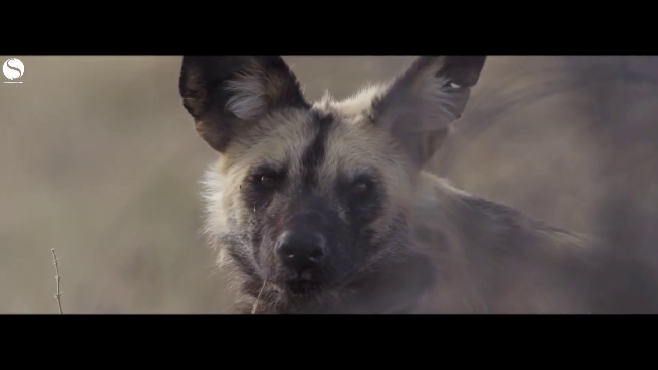 MERU NATIONAL PARK: EPISODE 3 - YouTube