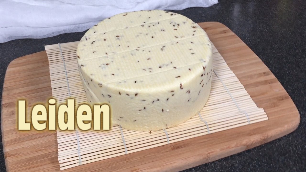 How to Make Leiden Cheese (aka Layden, Cumin Cheese, or Komijnekaas ...