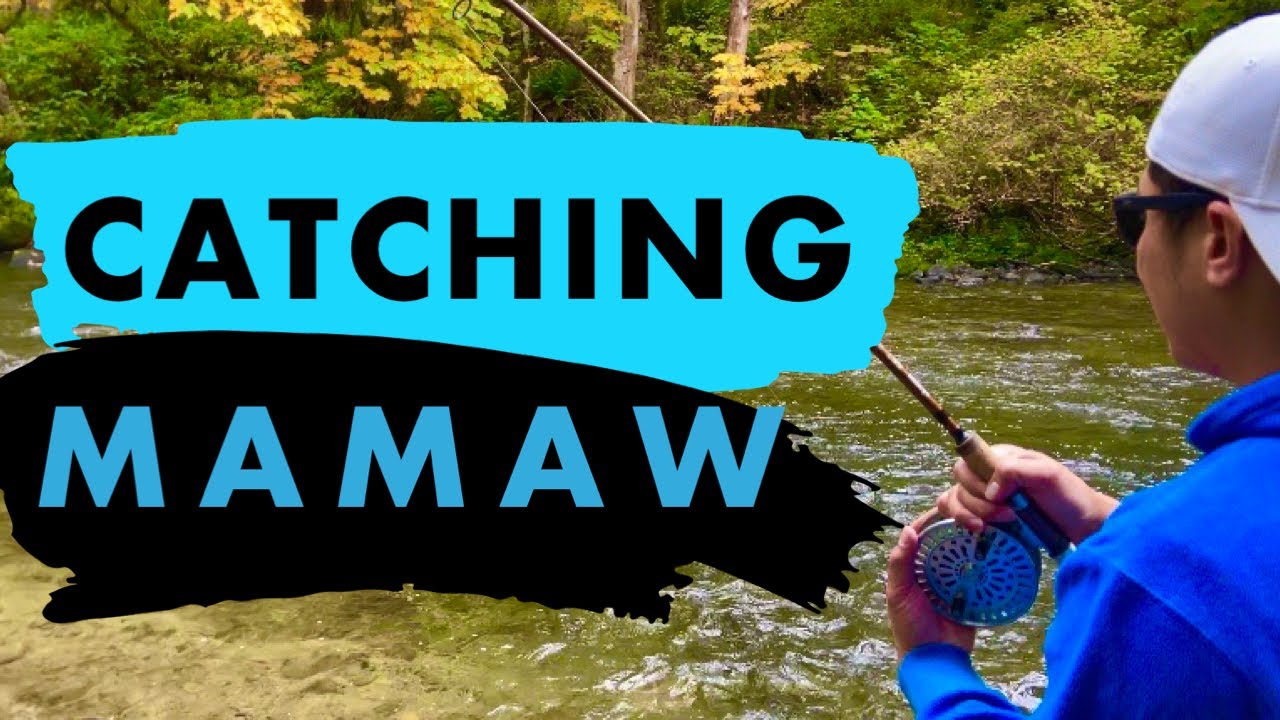 How To: CENTERPIN Float Fishing SET UP for HUGE Spring Salmon - YouTube