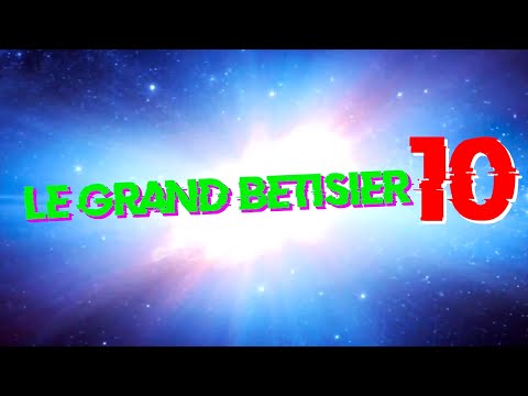 LE GRAND BÊTISIER 10