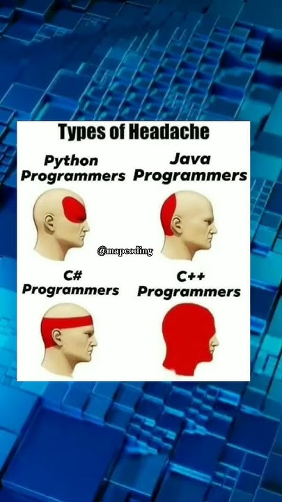 Types of Headache |Different Programmers #shorts #programmers #programming #python #ytshorts ...