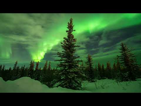 Arctic Auroras - 8K Ultra HD Northern Lights Timelapse Compilation from Fort Yukon, Alaska