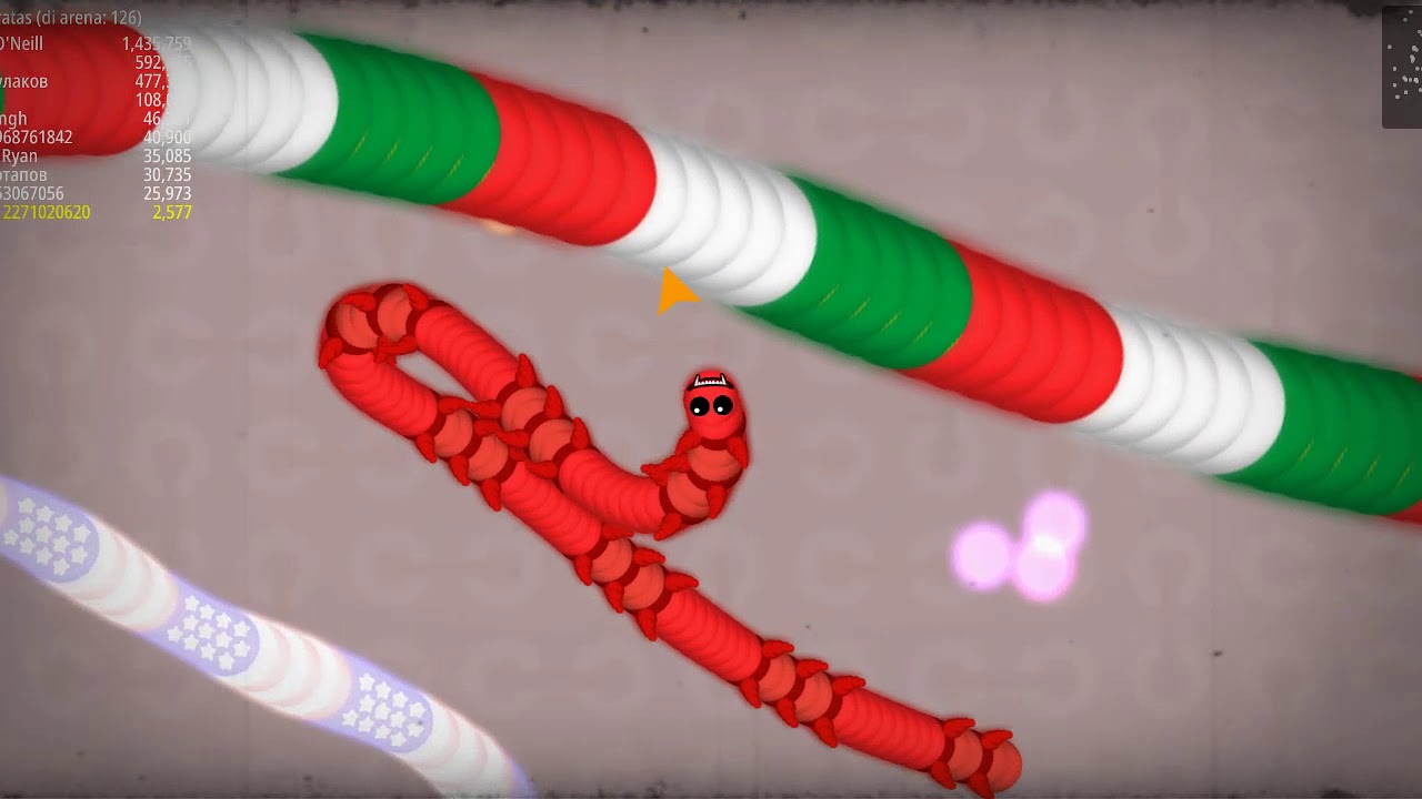 Jual uang worm zone cacing - YouTube