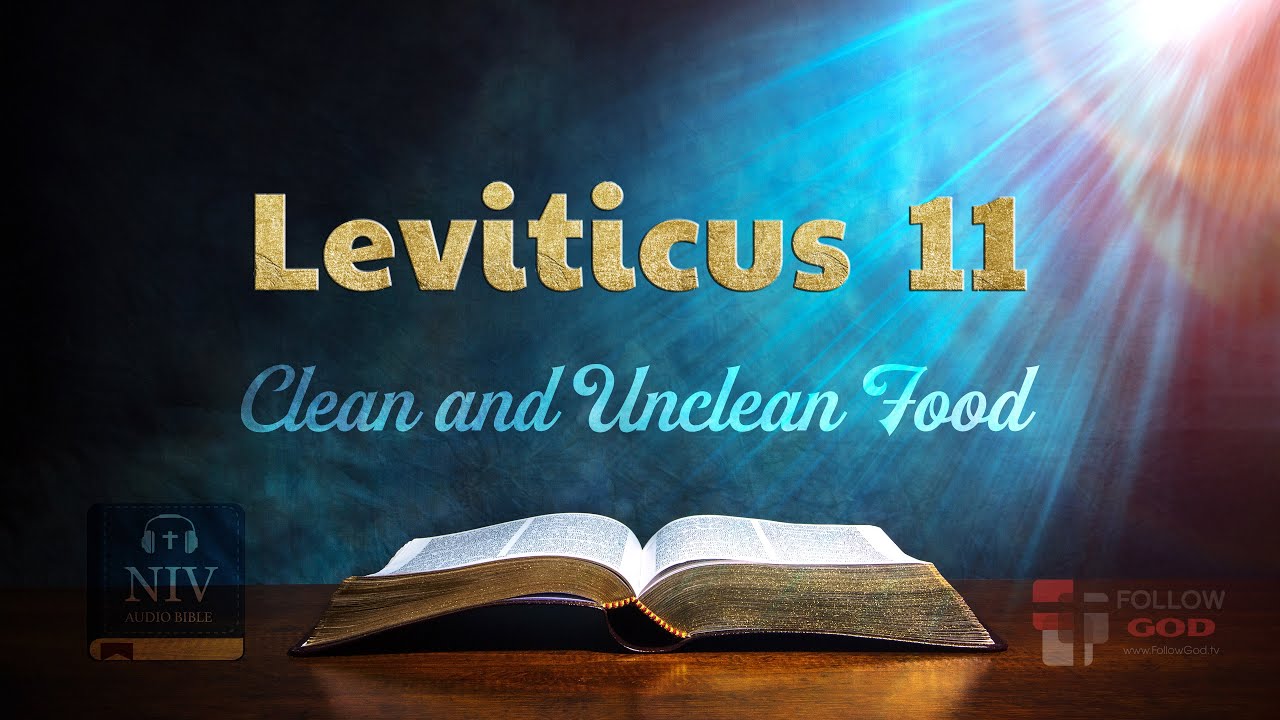 The Book of Leviticus | Chapter 11: Clean and Unclean Food | NIV Audio ...