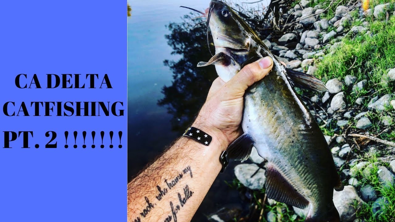 CA DELTA CATFISHING PT 2 - YouTube
