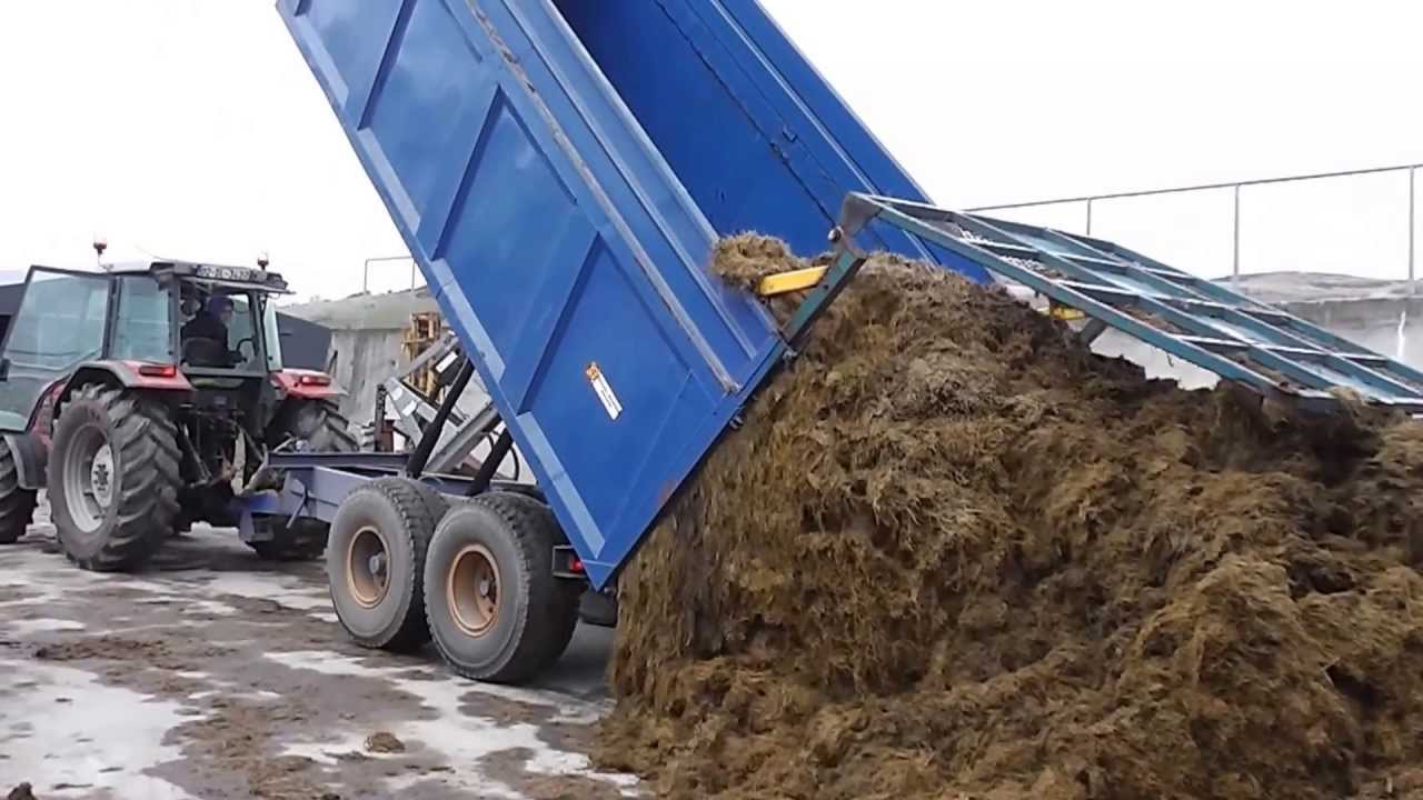 Carting silage with Massey Ferguson - YouTube