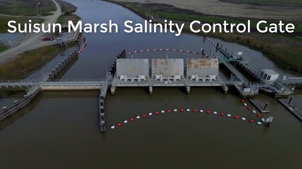 Suisun Marsh Salinity Control Gate - YouTube