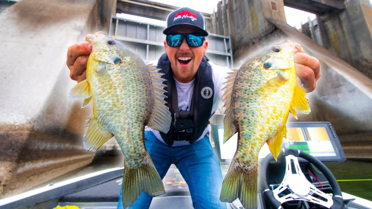 Fishing BIG DAM and Catching GIANT Bluegill! (AMAZING) - YouTube