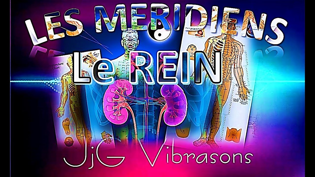 MÉRIDIEN DU REIN - ESSENTIEL POUR LA FONTAINE DE TON ÉNERGIE VITALE ...