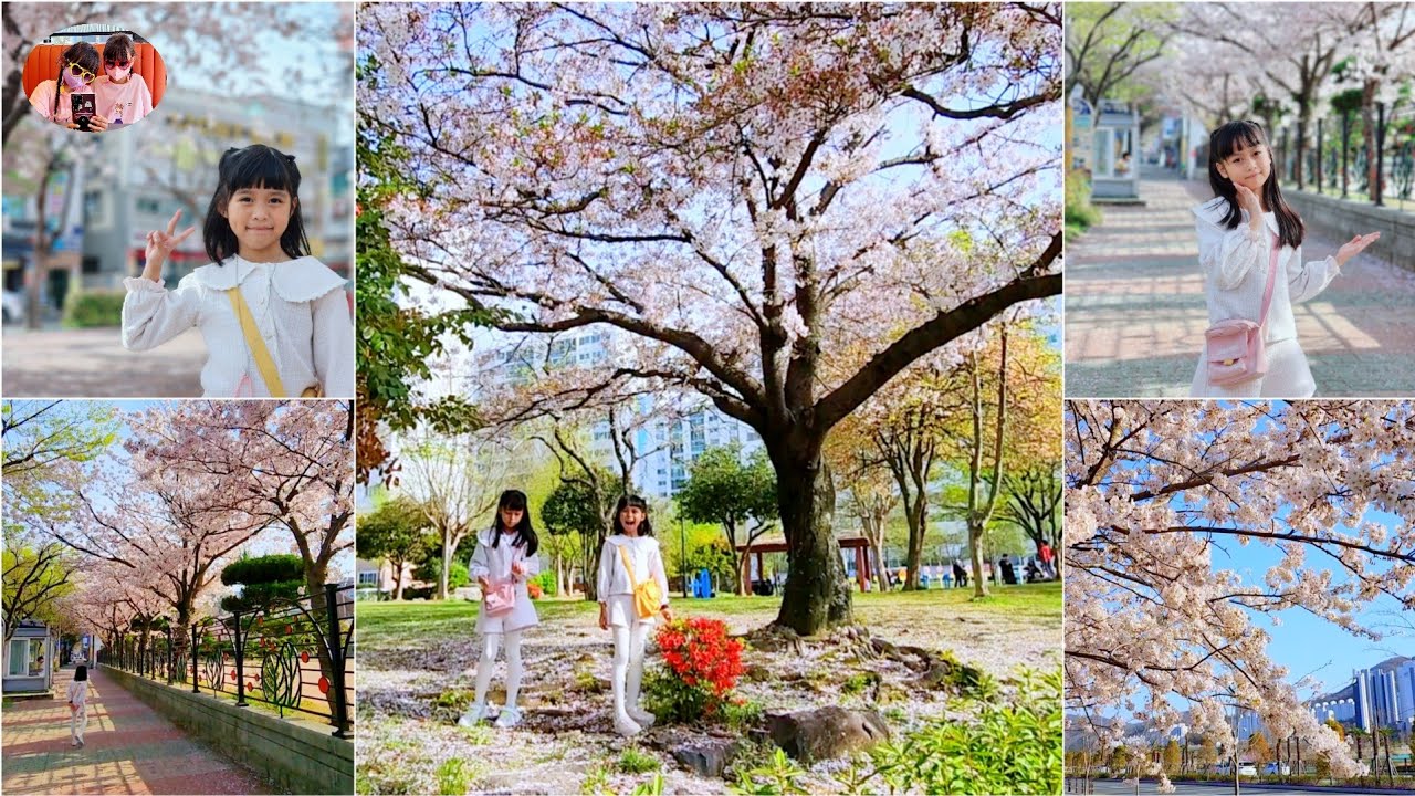 DI SAAT BUNGA-BUNGA MULAI BERMEKARAN // SPRINGS 2024 - YouTube