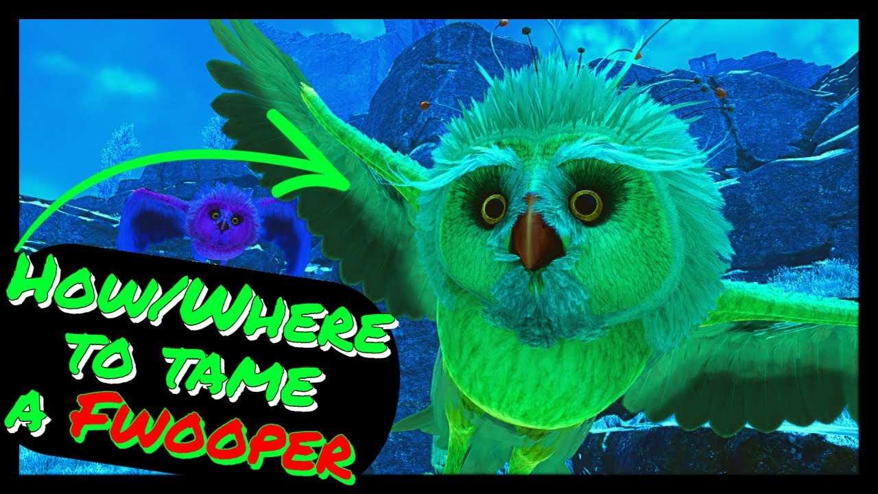 Fwooper Harry Potter