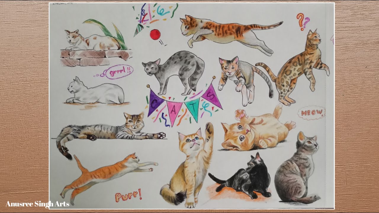 How to draw cats. Cat drawing. How to sketch cats. Animal drawing ...