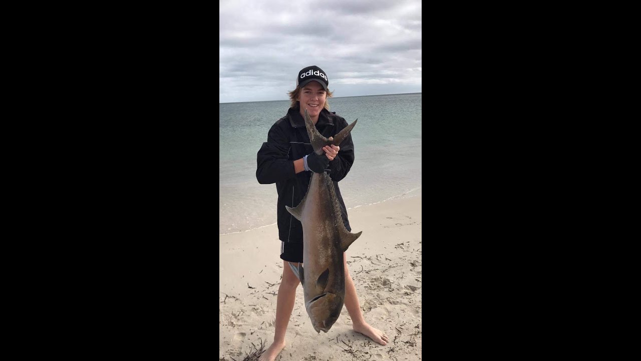 Busselton Beach Fishing - YouTube