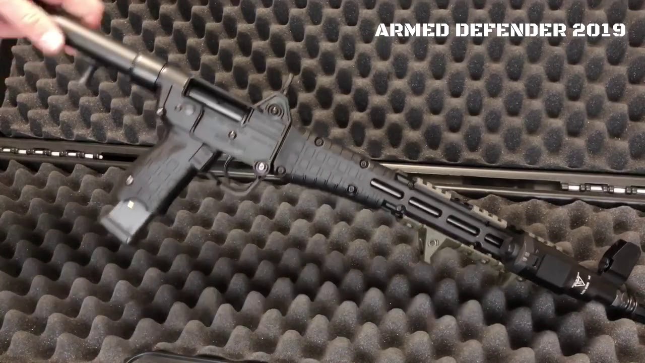 Best Budget SHTF Pistol Caliber Carbine: Kel Tec Sub 2000 - YouTube