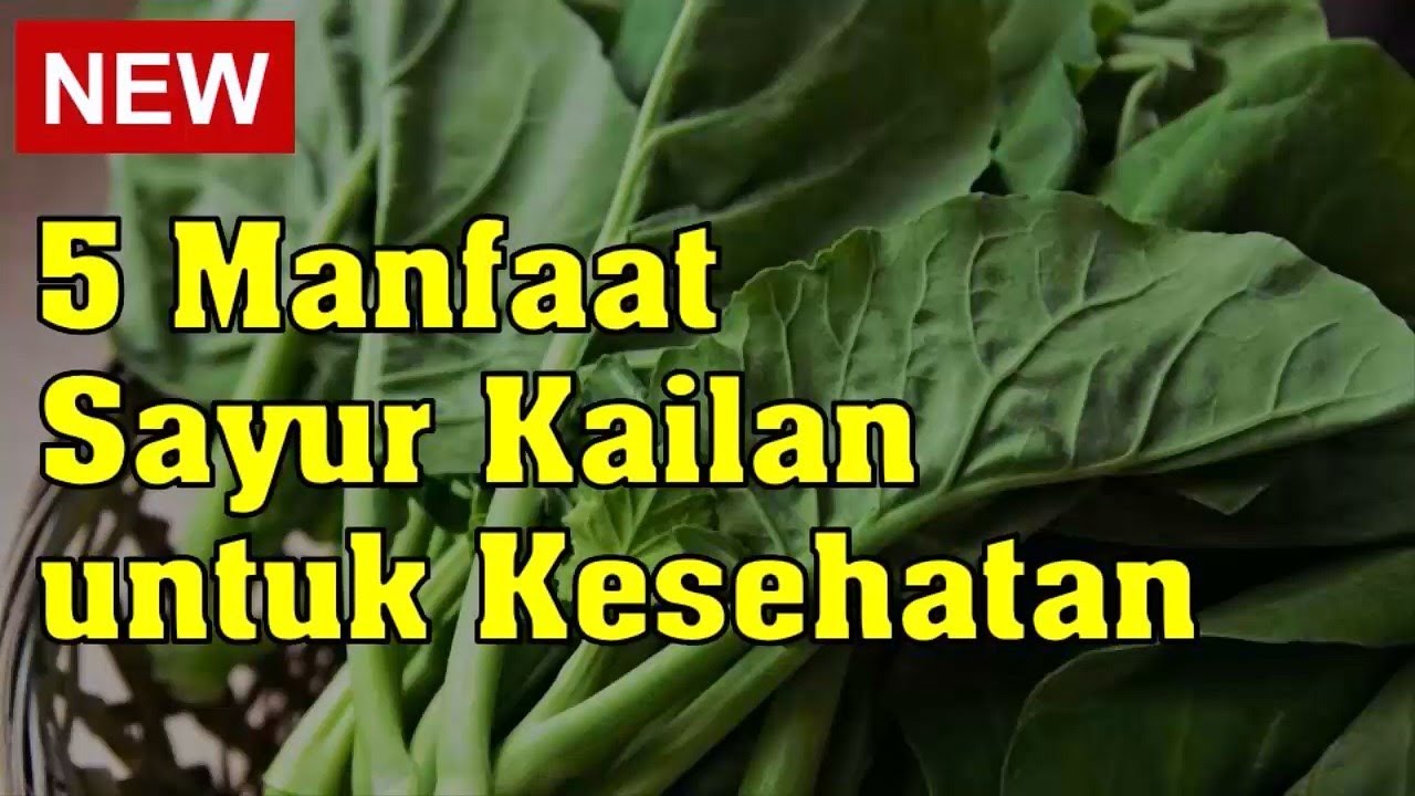 5 Manfaat Sayur Kailan untuk Kesehatan - YouTube