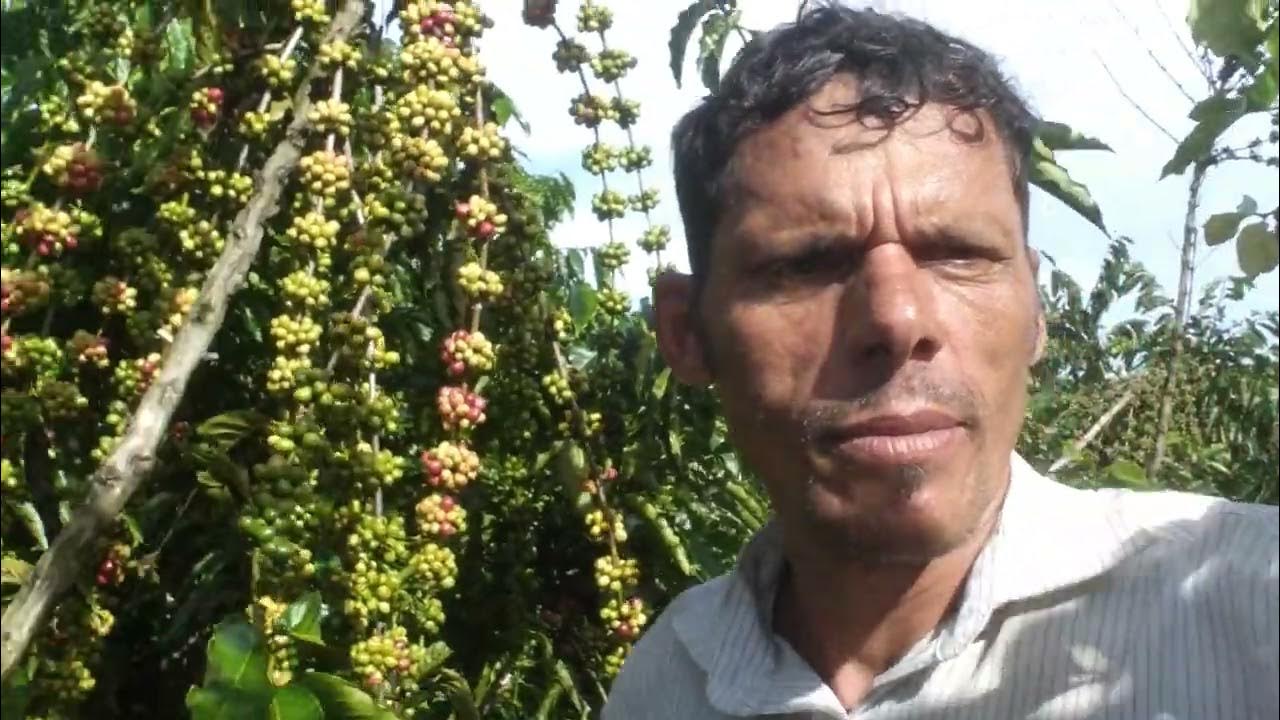 UM DIA DE TRABALHO NA CAPITAL(3) - YouTube