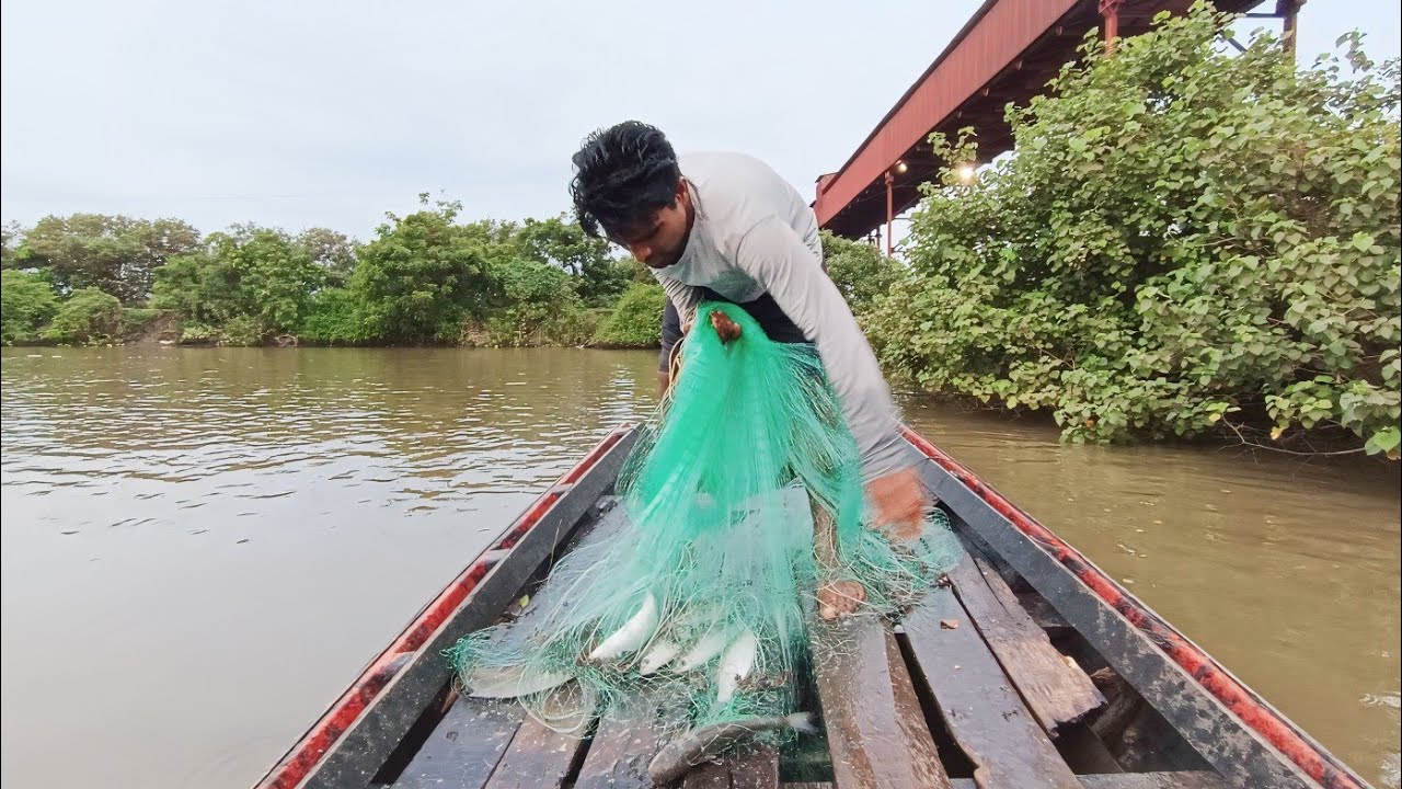 Fishing In Odisha River Fisherman Fish Catching 2024 - YouTube