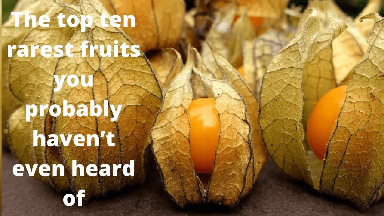 The top ten rarest fruits you probably haven’t even heard of - YouTube