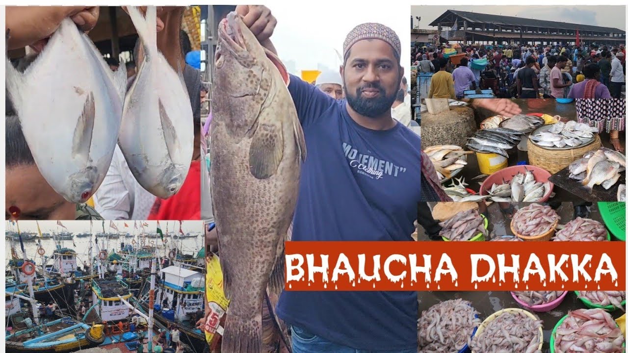 Biggest Fish Market In Mumbai Bhaucha Dhakka full tour Avim Bhai ...