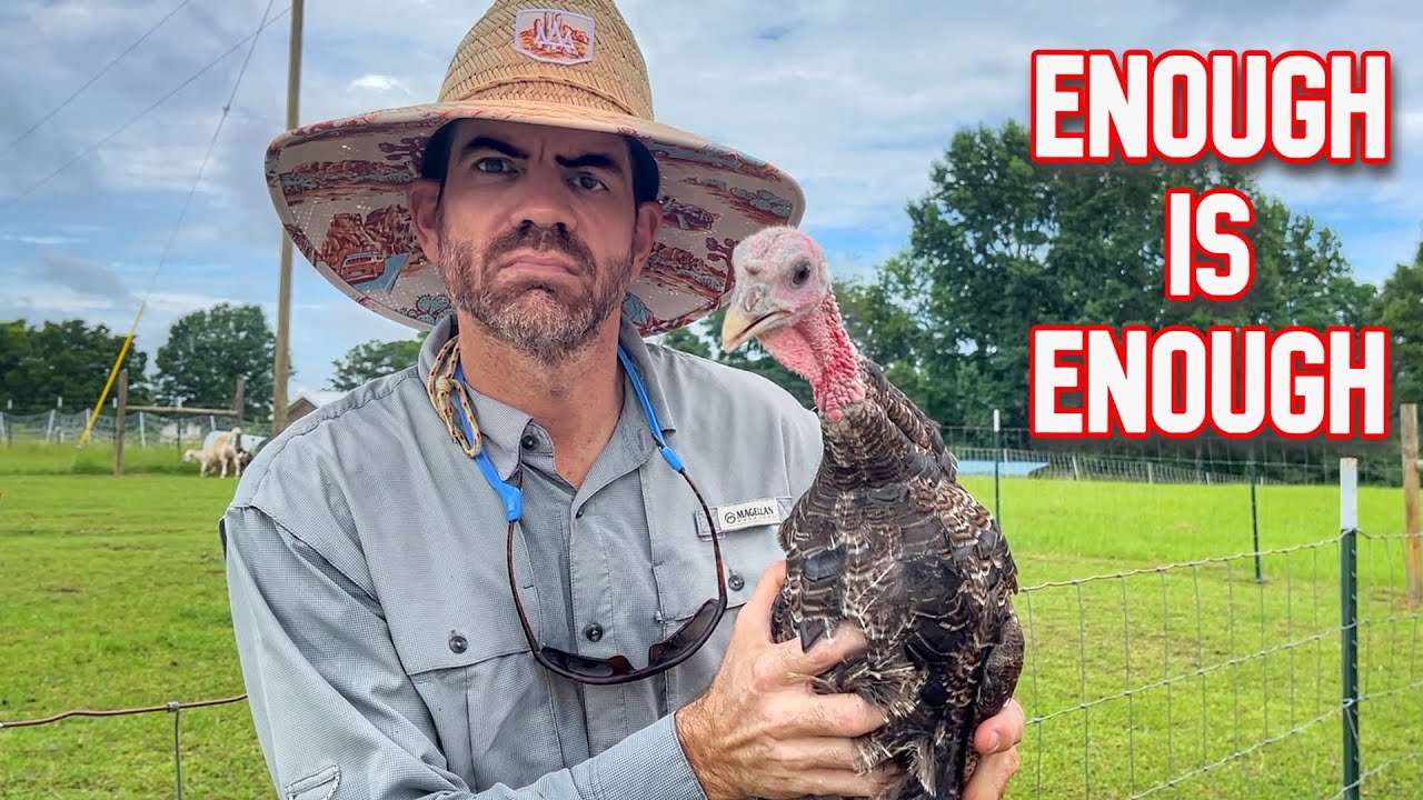 We Had To Do It To Demon Turkey - YouTube