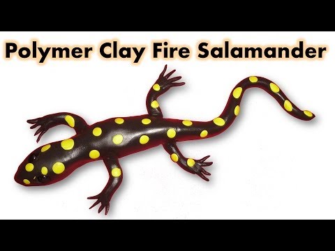 Polymer Clay Fire Salamander - YouTube
