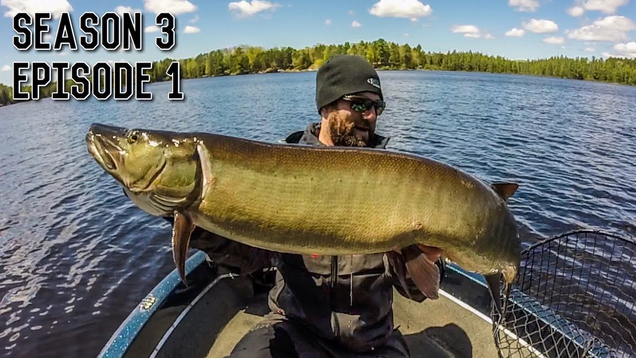 My Best GIANT Musky Taken in Cold Water! S3.E1 - YouTube