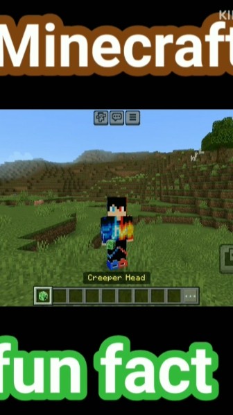 Minecraft fun fact #minecraft #shortsfeed - YouTube