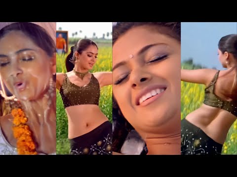 Simran Siggesthondi Vertical I Stop Go I TEASER I Edit # 256