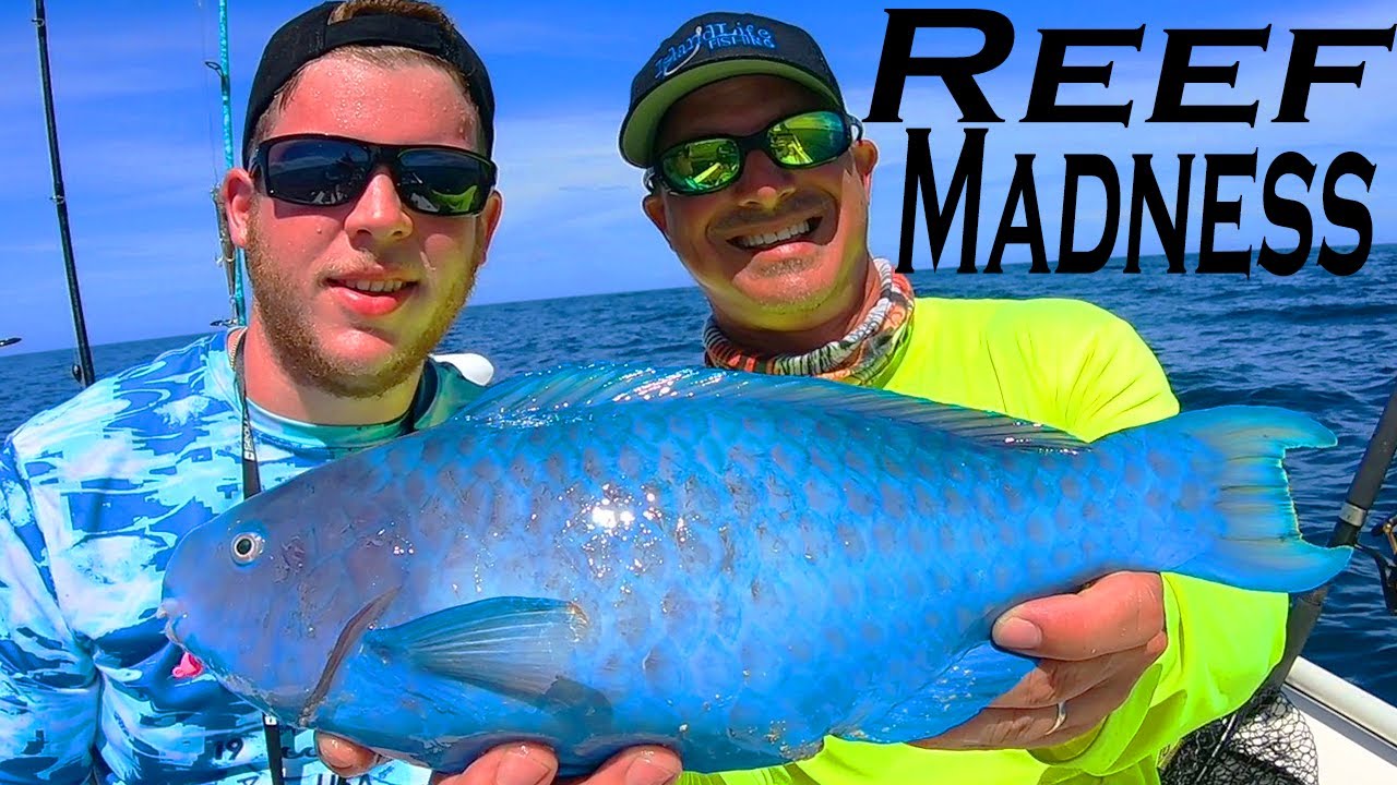 REEF MADNESS!!!! Island Life Fishing Charter - YouTube