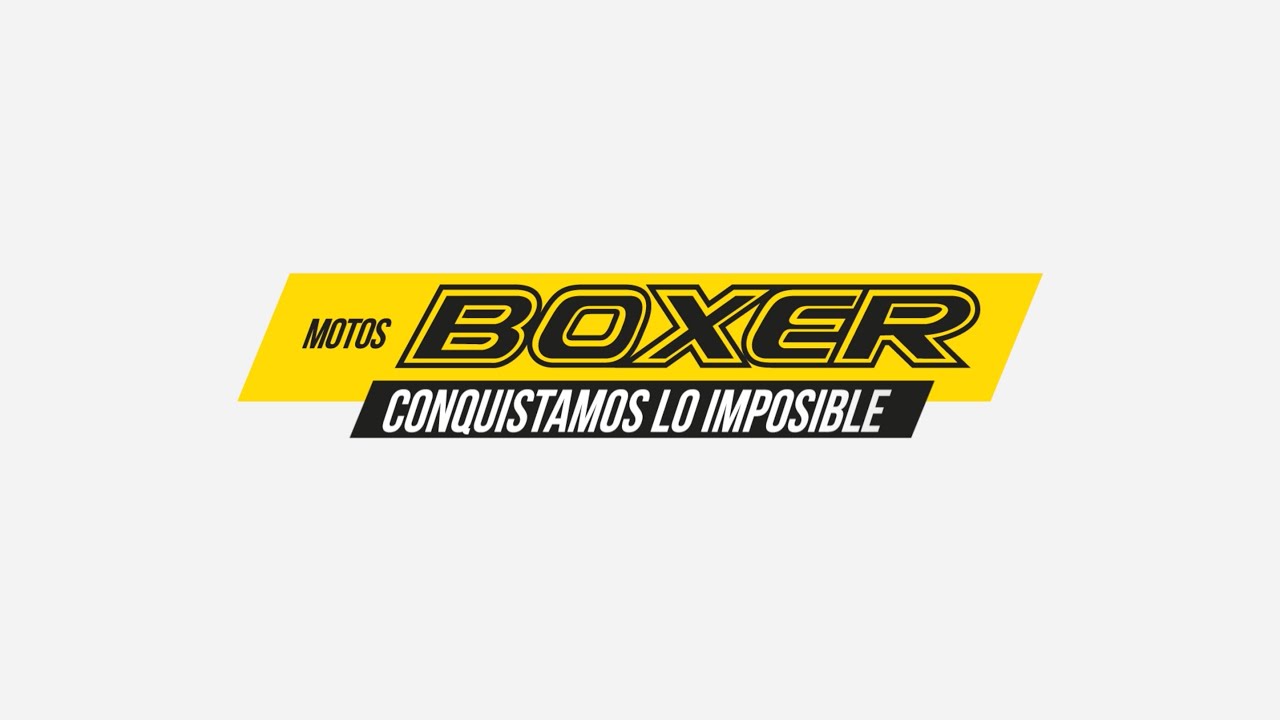 Logotipo De Boxer Bajaj Bajaj Guaranteed Motorcycle Spare Parts At