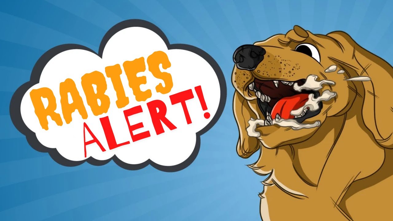 Bakit Mahalaga ang BAKUNA sa Alagang ASO? [Anti Rabies Vaccine ...