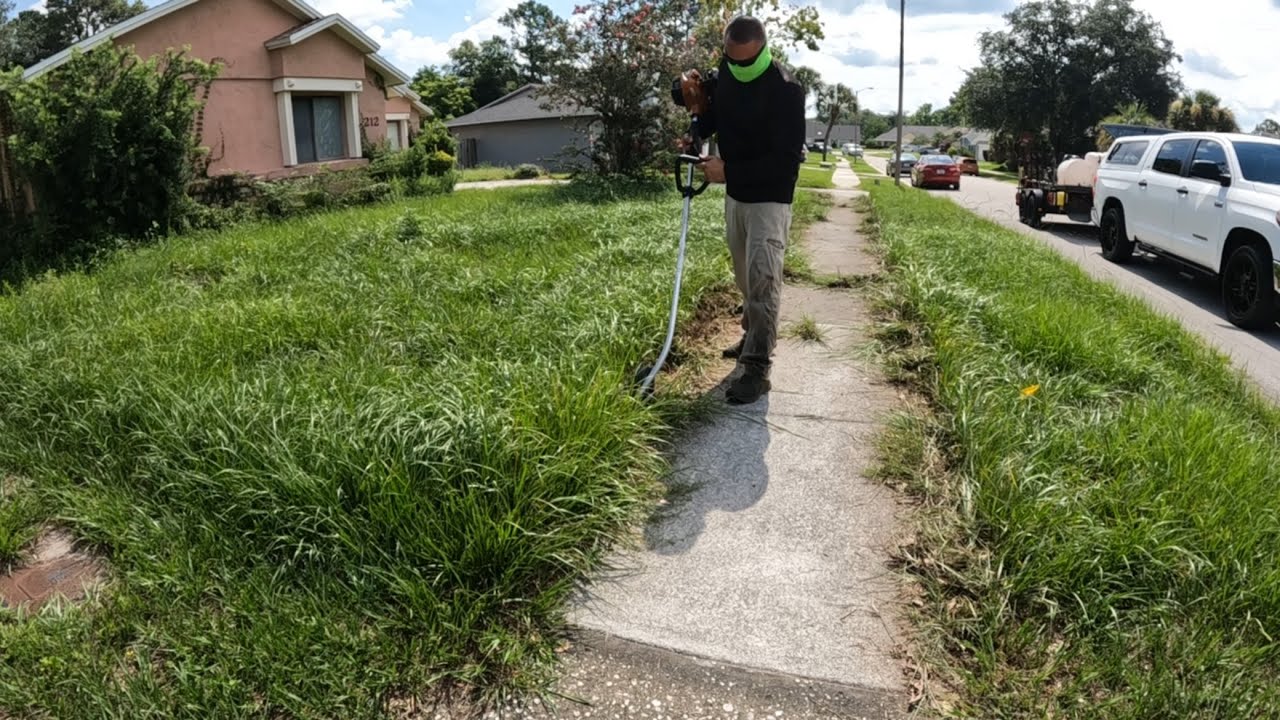 Incredible Yard Cleanup Transformation | Watch As We Give This ...