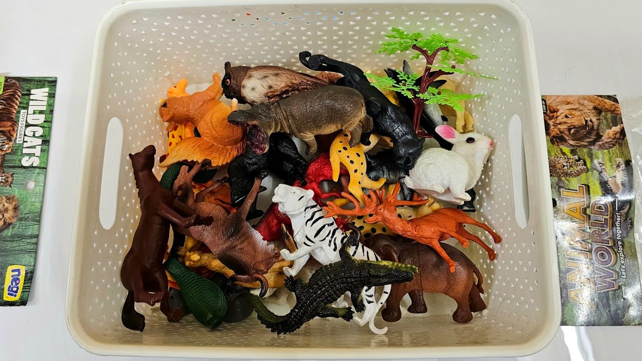 sea animals entertainment 13+ dinosaurs horse tiger lion bear zebra cow ...