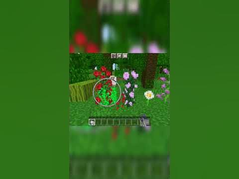 Minecraft : How to multiply flowers - YouTube