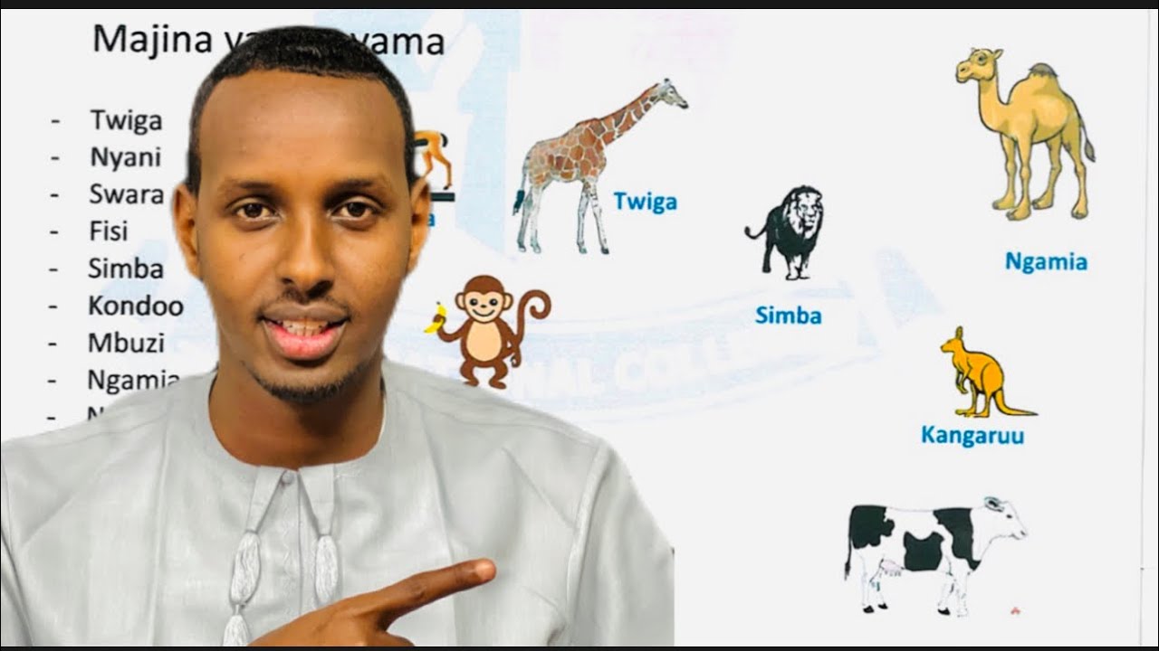 XAYAWAANADA …….SAWAXILI IYO SOMALI…KAFAIDEYSI WACAN ...