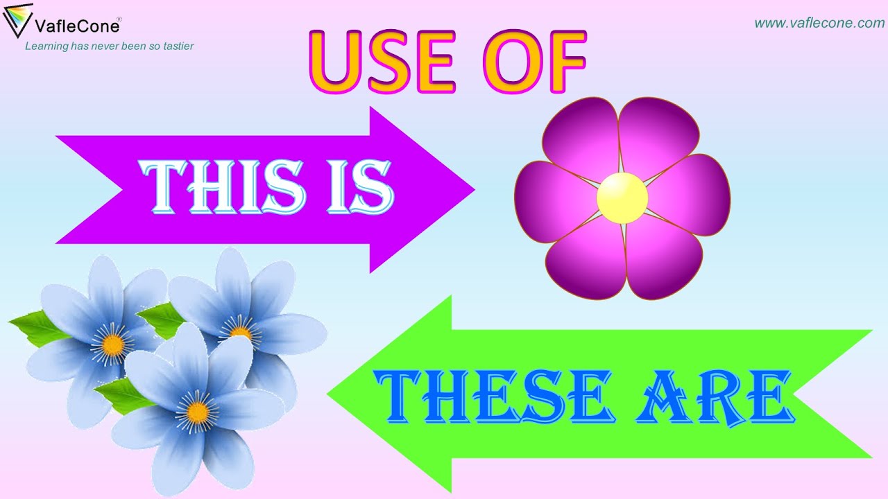 Use of that is and these are l Basics of English Grammar l English for ...