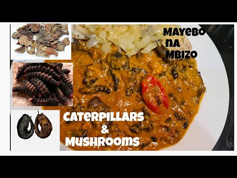 Mayebo na Mbizo/ Mushrooms with Caterpillars/CONGOLESE FOOD 🇨🇩 - YouTube