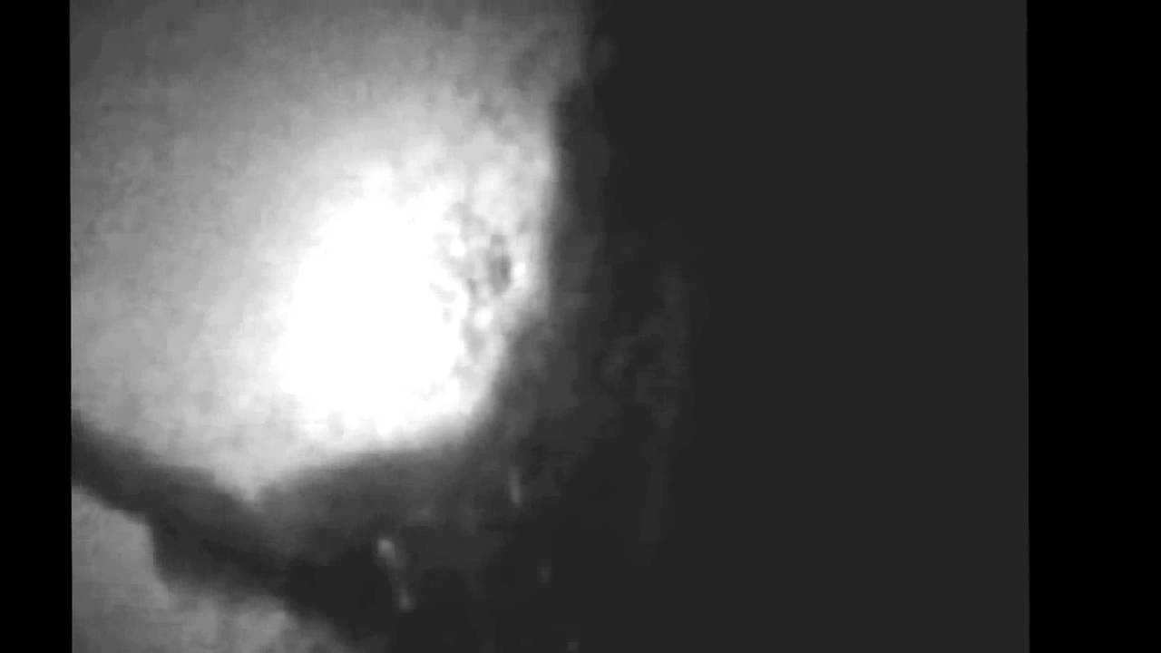 The Rake Caught on tape, Real or Fake? - YouTube