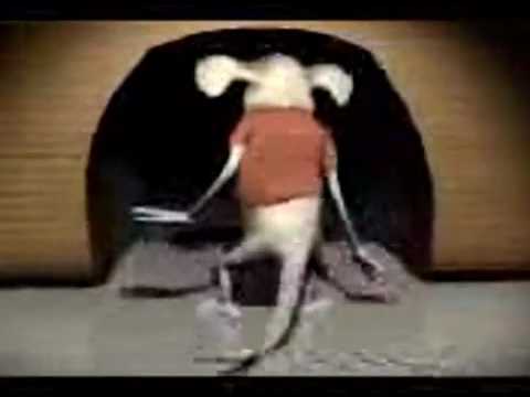 Rata bailando - YouTube