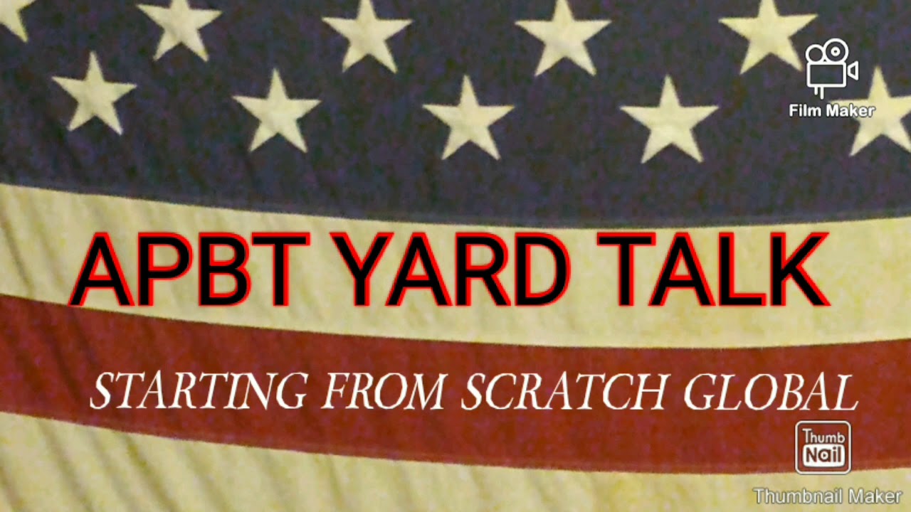 HOW TO BREED "The American Pitbull Terrier"#APBT Global# #APBT YARD ...