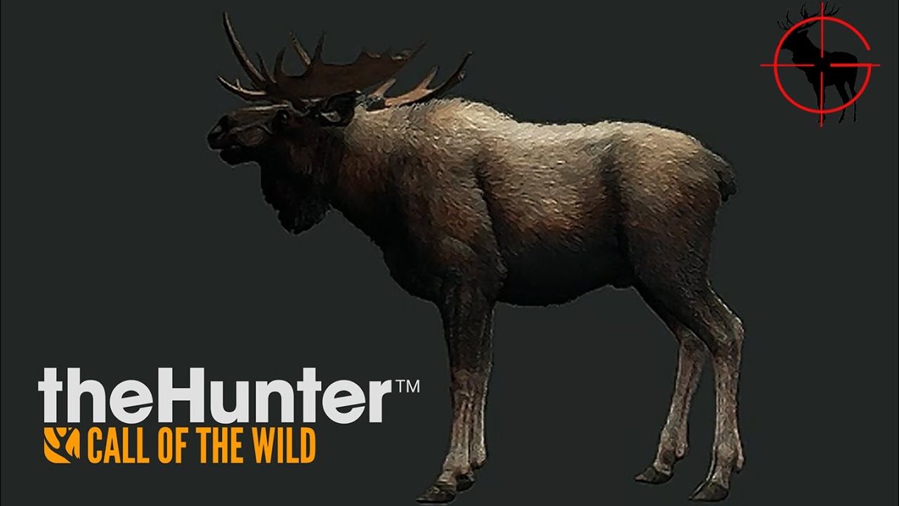 Golden Turkey and Moose #65 - YouTube