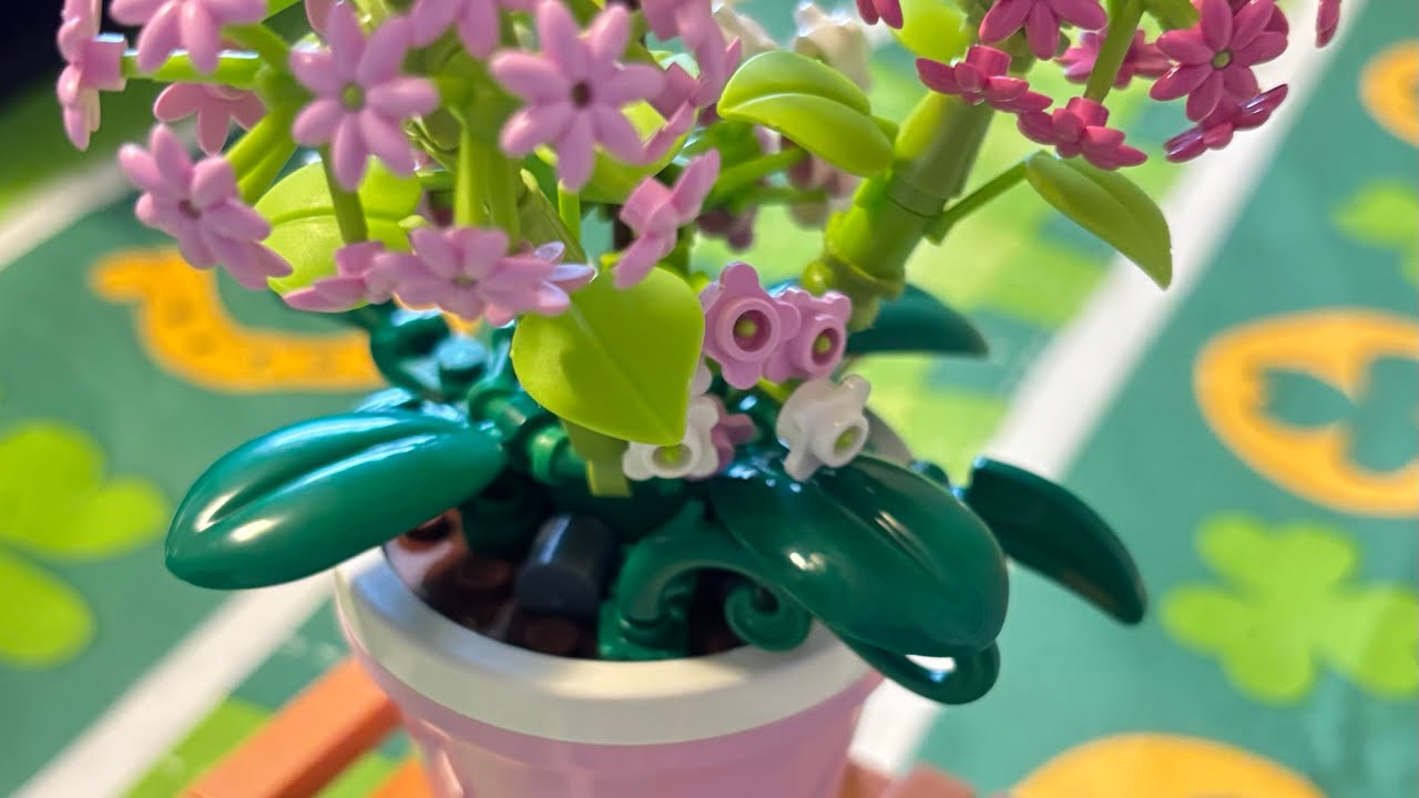 ZURU MAX GARDEN COLLECTION. - YouTube