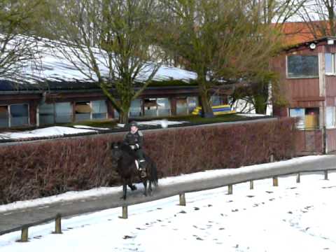 Marina auf Ernir frá Efri-Brú 2 - YouTube