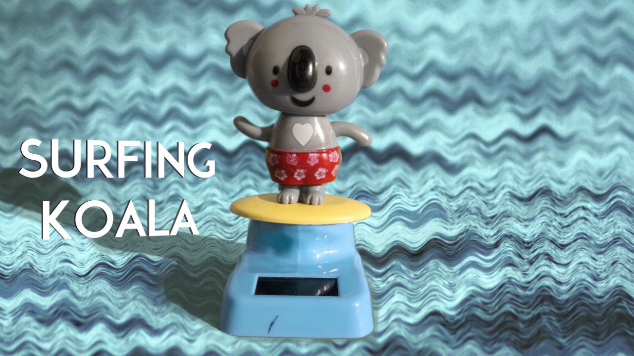 Solar Dancer Surfing Koala - YouTube
