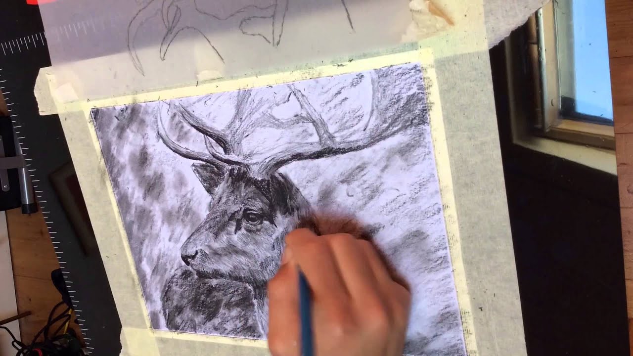 Speed Drawing Of Deer In Graphite- Drawing by Josh - YouTube