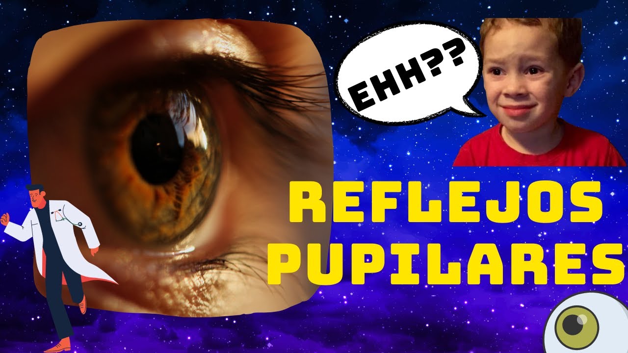 👀👀 ¿¿Qué son los REFLEJOS PUPILARES?? - 2 reflejos que NO CONOCES - YouTube