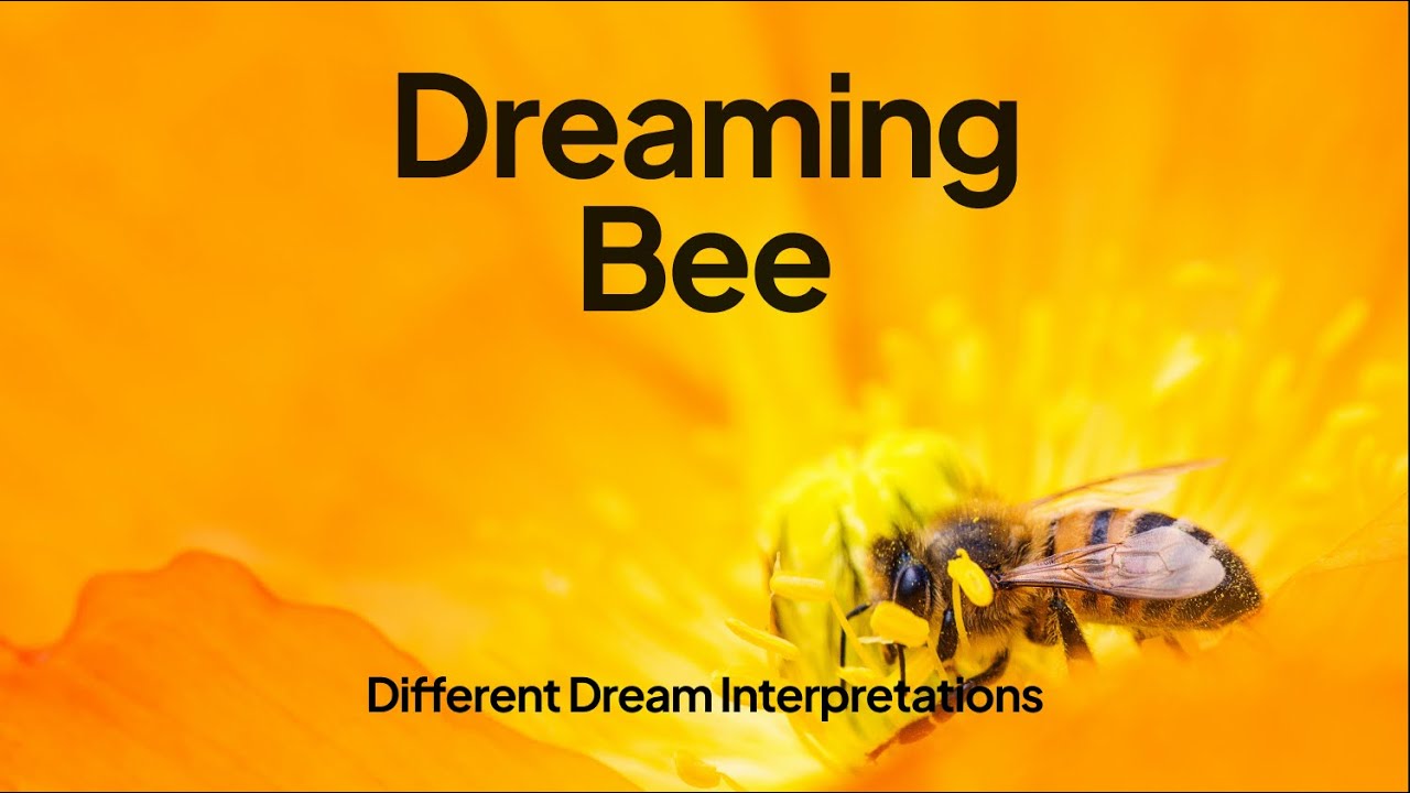 Dreaming Bee - Dream Interpretations - YouTube