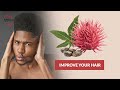 Black Jamaican Castor Oil Pomade - Hair Care - African Beauty Products