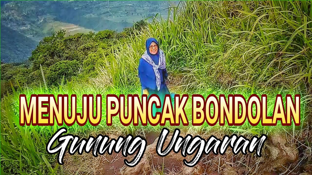 MENUJU PUNCAK BONDOLAN GUNUNG UNGARAN - YouTube
